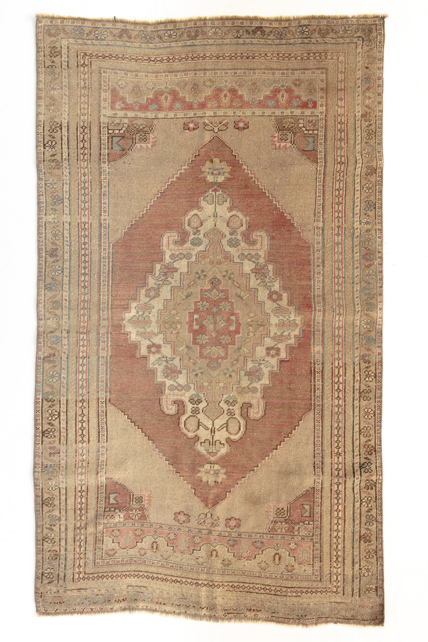Mottur – Kara Rugs